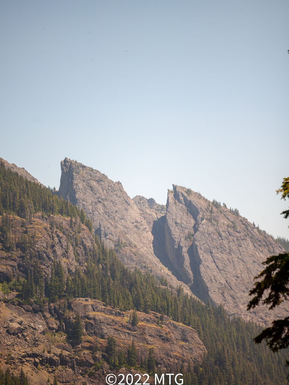 Mamiya ZD: A True Medium Format DSLR (Reviewed)