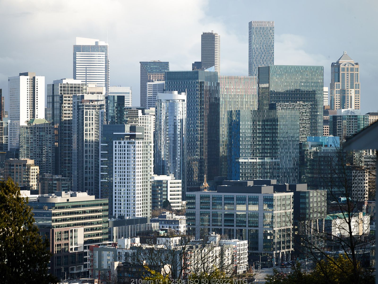 Mamiya ZD: A True Medium Format DSLR (Reviewed)