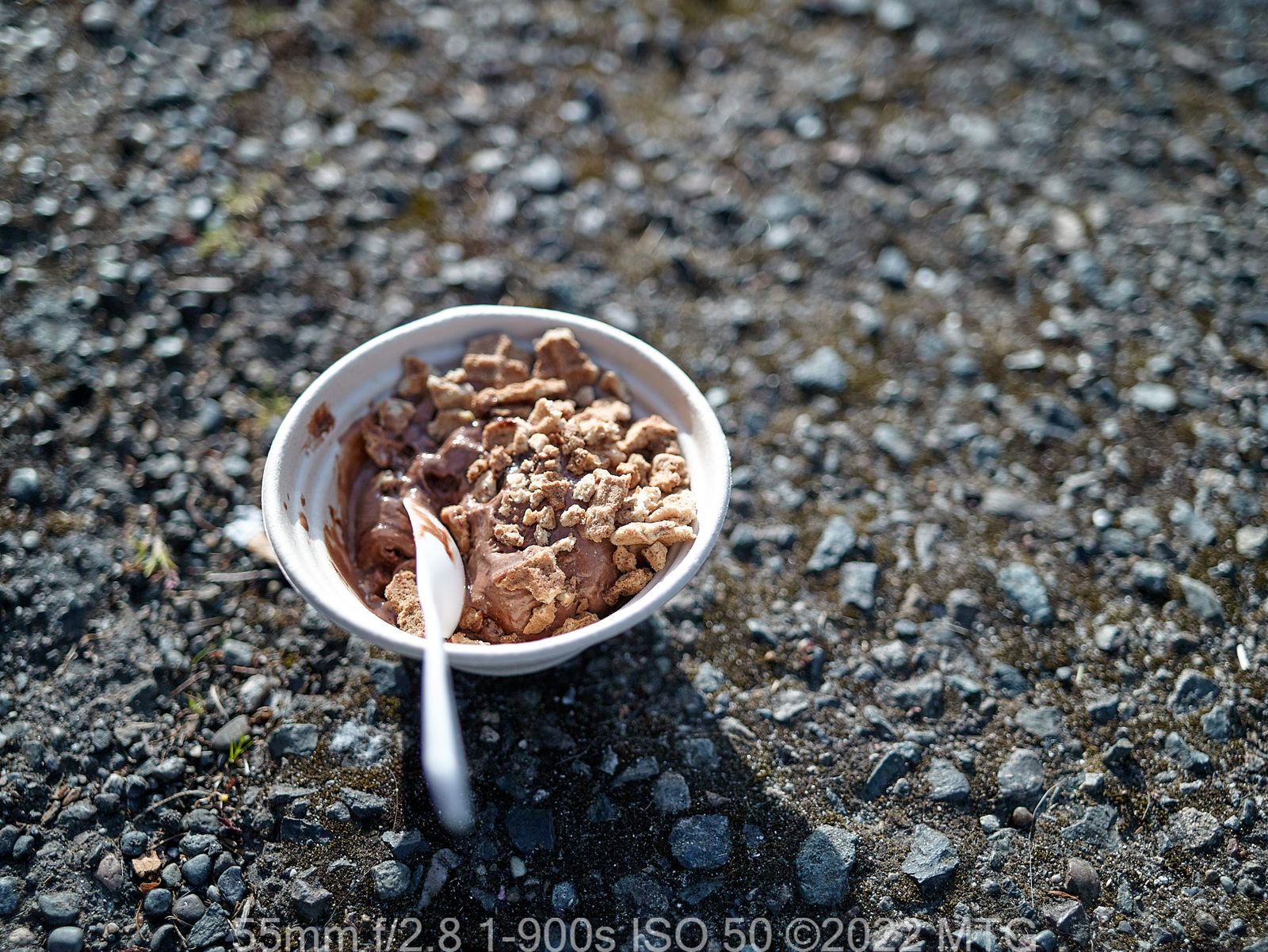 Mamiya ZD: A True Medium Format DSLR (Reviewed)